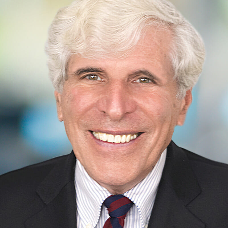 Stephen L. Kass | Carter Ledyard & Milburn LLP