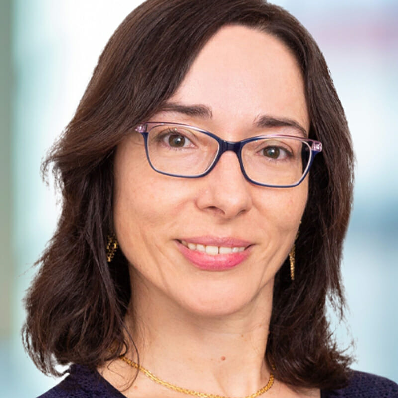 Karen T. Schiele | Carter Ledyard & Milburn LLP